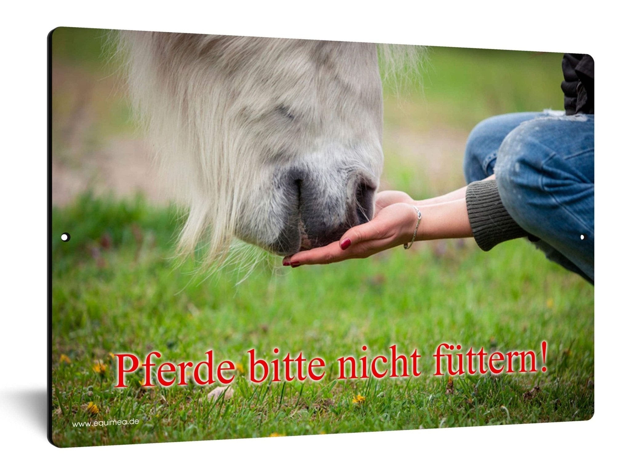 Weideschild Pferde bitte nicht füttern! – EQUIMEA
